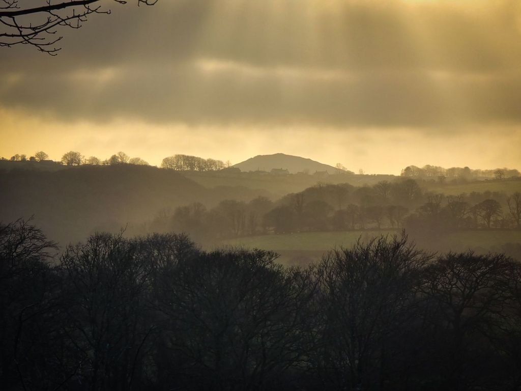 A walk from Maen Colman to The Cilwendeg Shell Hermitage – CoralJackz ...