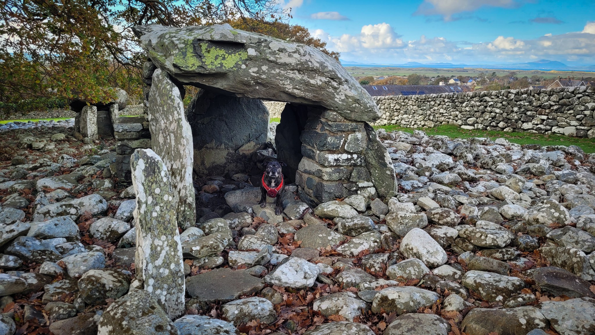 Dyffryn Ardudwy Neolithic Monument – CoralJackz – That History Couple